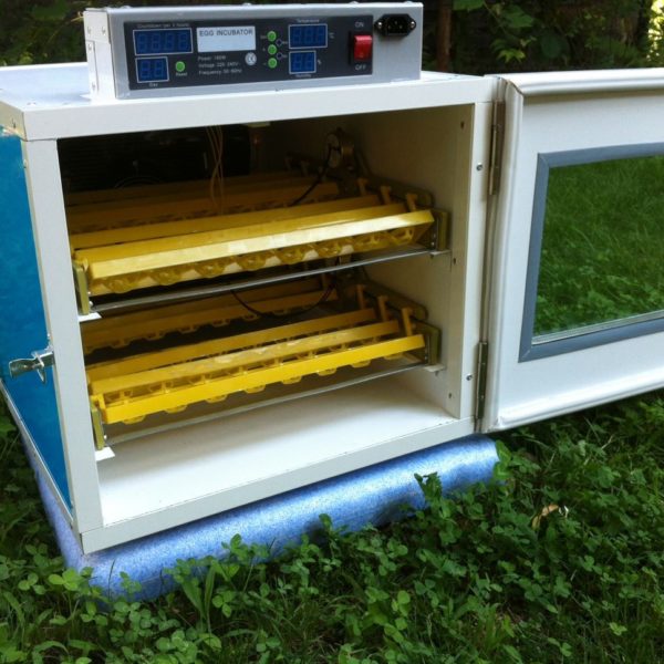 incubator automat, incubator profesional automat,incubator performant ...